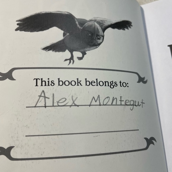 Other | The Last Firehawk The Ember Stone Book | Poshmark